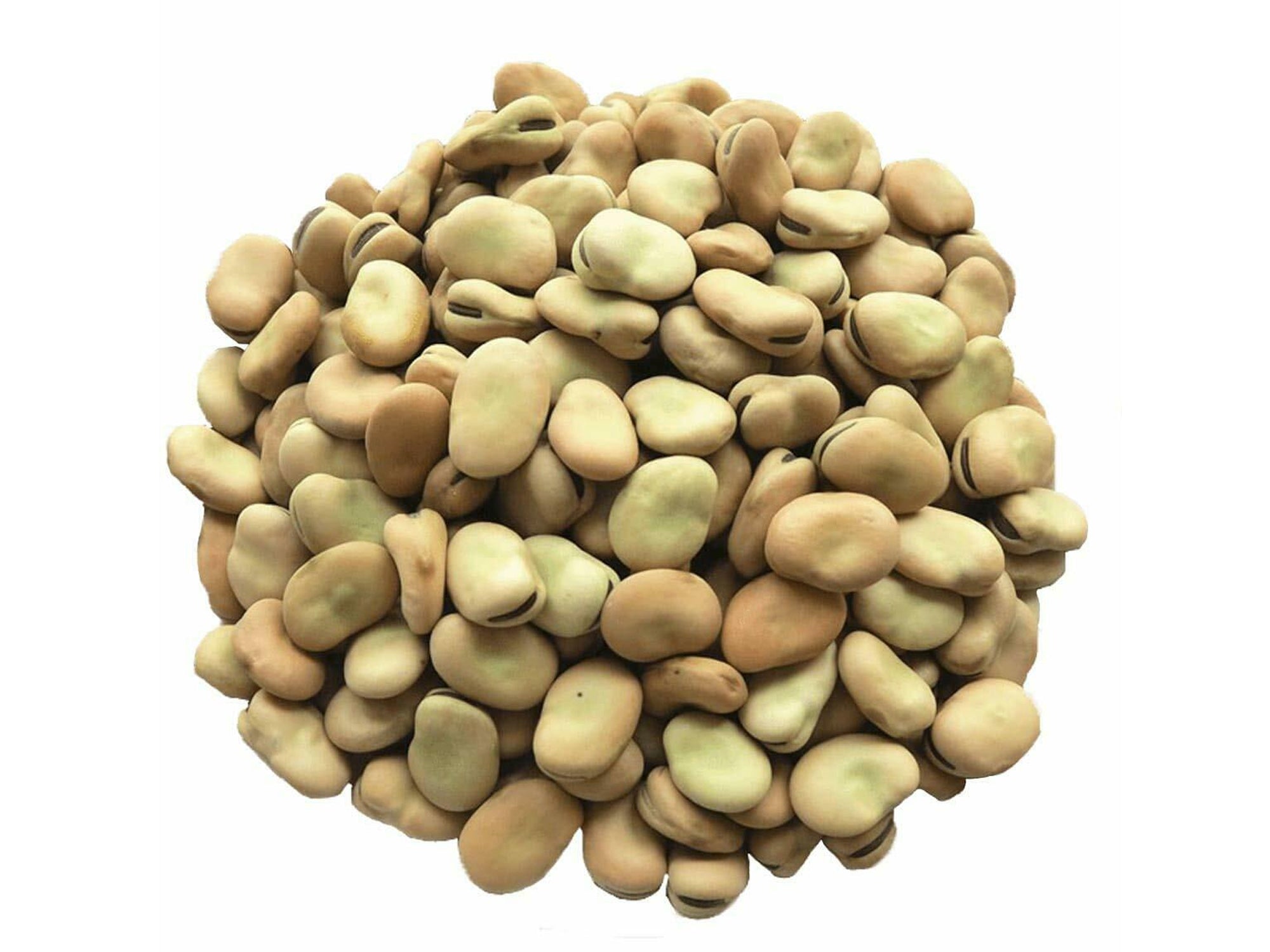 Organic Fava Beans - Broad Beans, Non-GMO, Kosher, Raw, Sproutable, Dr ...